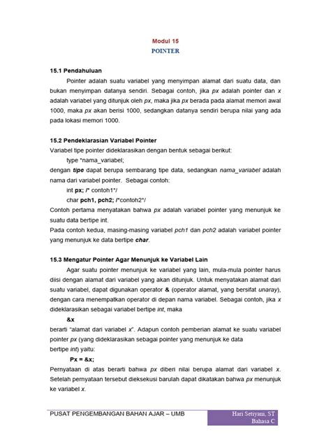 pointer pdf