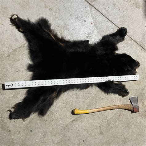 Black Bear Fur Pelt Standard Medieval Fur