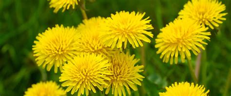 Anna Marie Sass Psykologgruppen Næstved