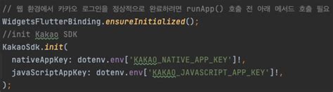 flutter 카카오 로그인 redirect uri koe006 에러 flutter 카카오 데브톡