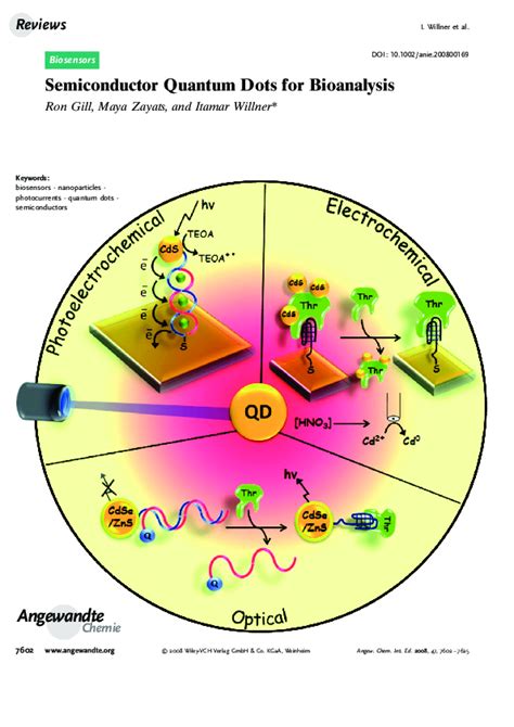 Pdf Semiconductor Quantum Dots For Bioanalysis