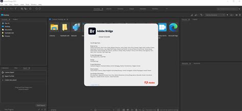 Adobe Bridge 2025 V15 1 0 635 X64 Haxnode