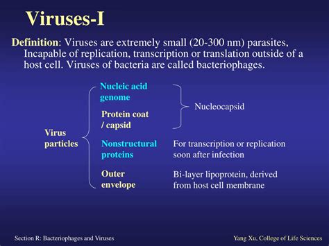Ppt R1 Introduction To Viruses Powerpoint Presentation Free Download