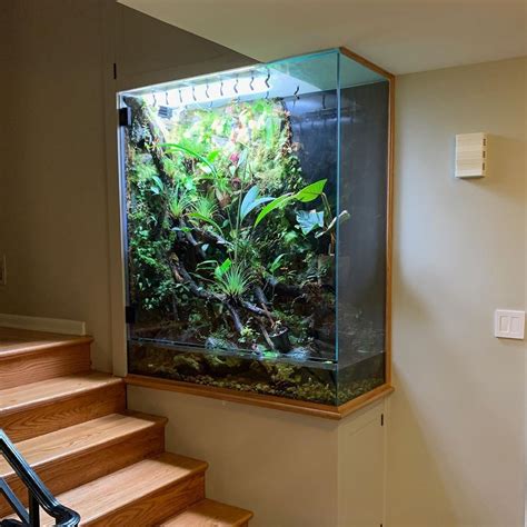 Inspirating Info About How To Build Vivarium Postmary11
