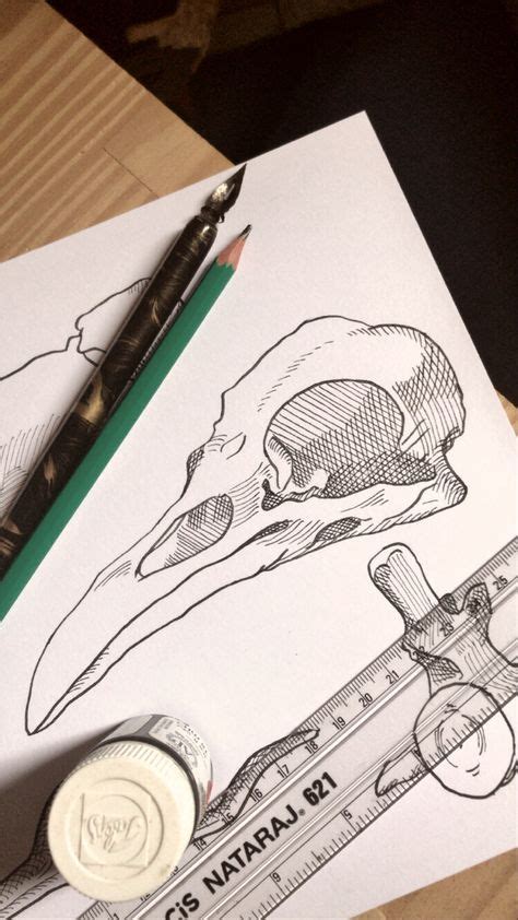 Hachuras Desenho