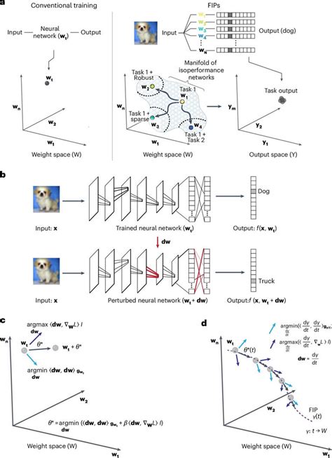 overcoming catastrophic forgetting algorithm inspired by brain