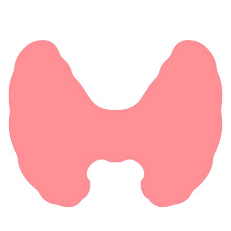 Thyroid Gland Victoruler Flat Icon