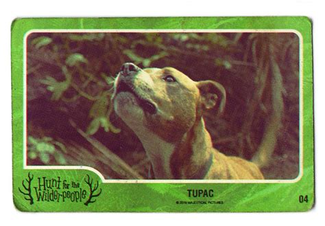 Hunt For The Wilderpeople Tupac Dog At Inez Smith Blog