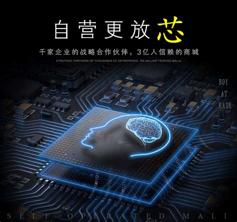 嵌入式fpga Ep2c15af256i8ni进口原装 其他ic 维库电子市场网