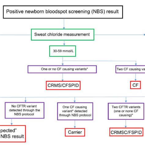 Adapted From Reference An Algorithm For The Designation Of Infants Download Scientific