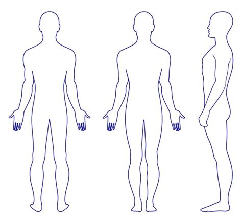 Human Silhouette Outline Vector Images And Graphics For Commercial Use