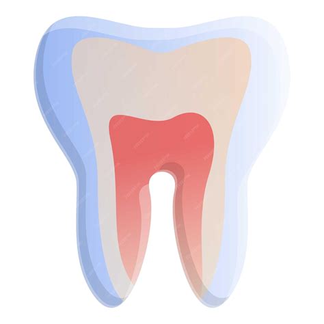 Premium Vector Tooth Pulp Icon Cartoon Of Tooth Pulp Vector Icon For