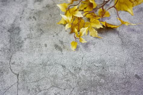 「chilblain」の写真素材 16944件の無料イラスト画像 Adobe Stock