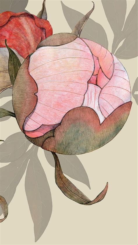 Pink Flower Botanical Poster