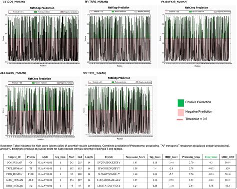 Proteasomal And Transporter Associated Antigen Processing Tap Download Scientific Diagram