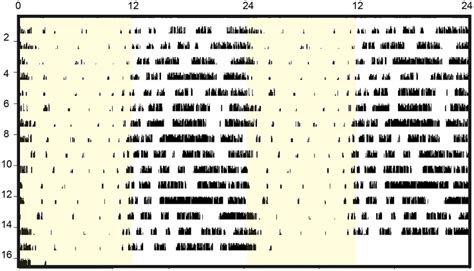 Harvesting Mouse Suprachiasmatic Nucleus By Vibrating Microtome For Diurnal Transcriptome