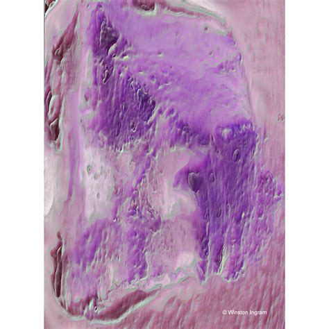 Elements Of Periodic Table Under Microscope Microbus Microscope Educational Website