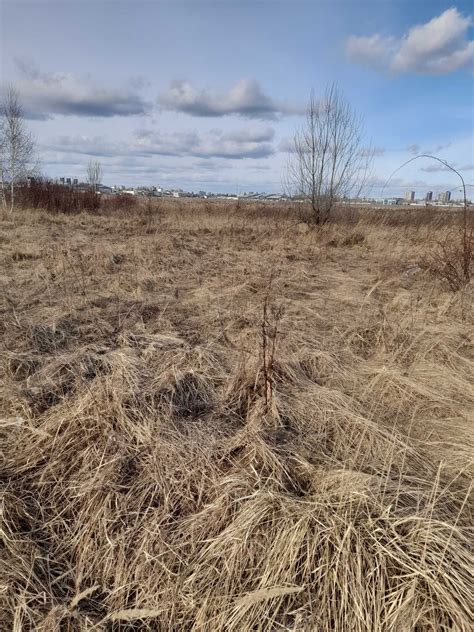 12 соток у Соломянському районі Панорамний вид на Київ 79 959 Продажа земли Киев на Olx
