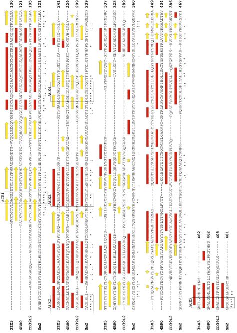 Primary And Secondary Structural Alignment Between Smatpdase2