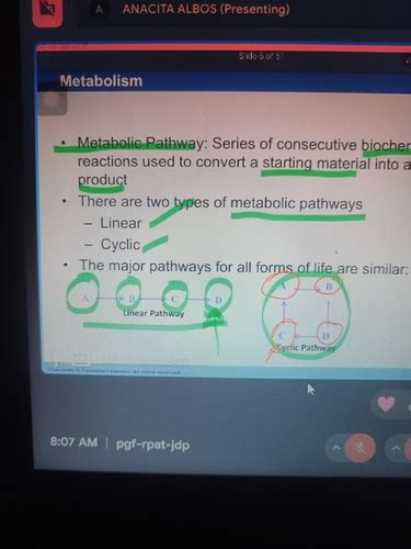 Biochem Flashcards Quizlet