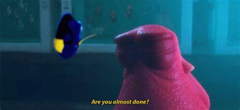 Finding Dory Hank  Finding Dory Hank Are You Almost Done