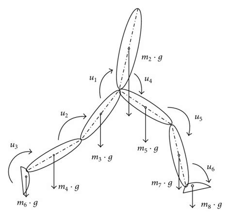 The 2d Walking Human Model Comprising 8 Bodies And 9 Dofs A And The Download Scientific