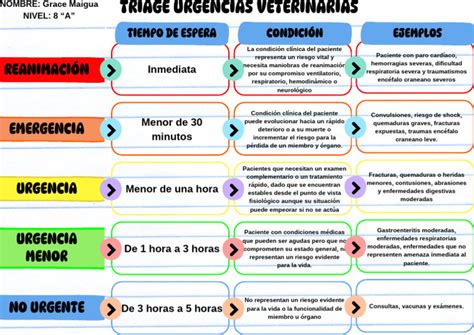 Triage En Urgencias Veterinarias Pdf Medicina Clinica