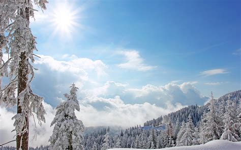 Pictures Winter Nature Sky Trees Clouds 1920x1200