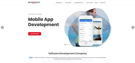 Top Web Development Companies In Egypt Web Development India
