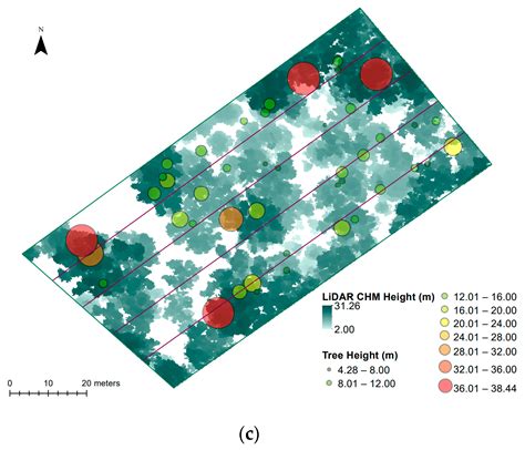 Remote Sensing Free Full Text A Comparison Of Uav Derived Dense