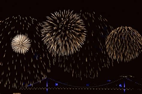 Funny Animated  Animated S Of Fireworks
