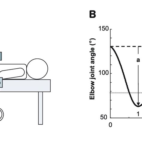 A A Schematic Drawing Of The Upper Limb Pendulum Test B An