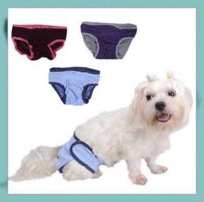 Ropa Interior Para Perros Ideas Geniales Imágenes De Ropa Para Perros