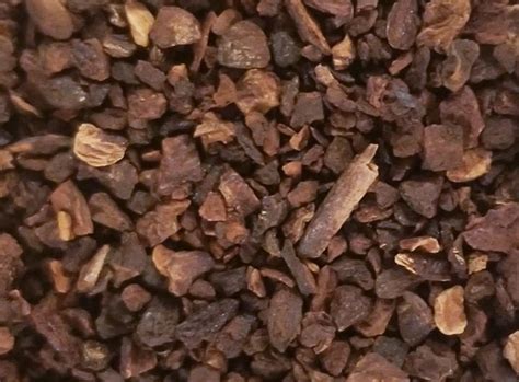 Chicory Root Roasted 1 Oz Natural Remedy Herbal Remedy Etsy