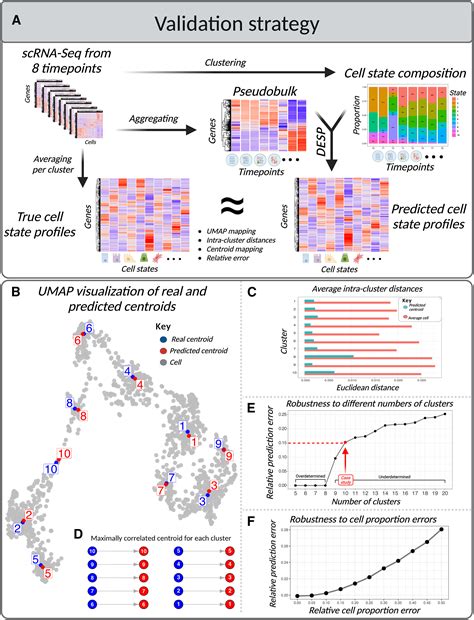 Desp Demixes Cell State Profiles From Dynamic Bulk Molecular Measurements Cell Reports Methods