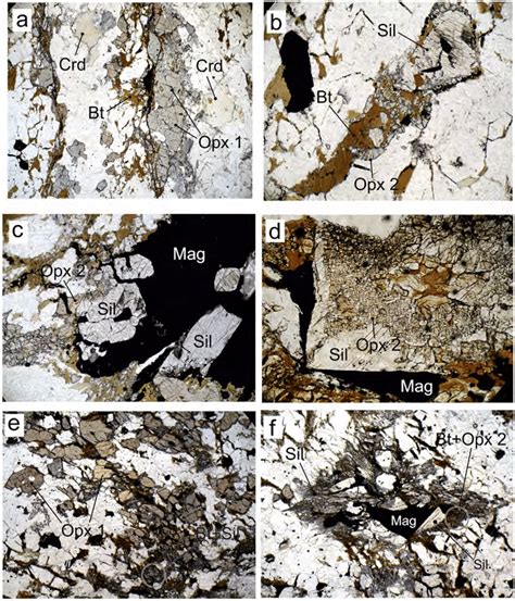 A D 1037 506 Thin Section Photo Micrographs A Biotite Rich Zones Cut