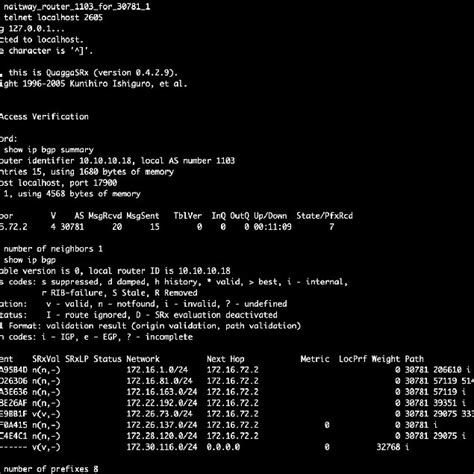 the setting information and routing tables of the bgp srx router from