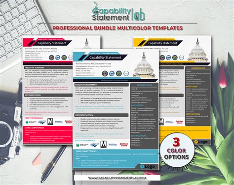 Business Capability Statement Template Government And Corporate