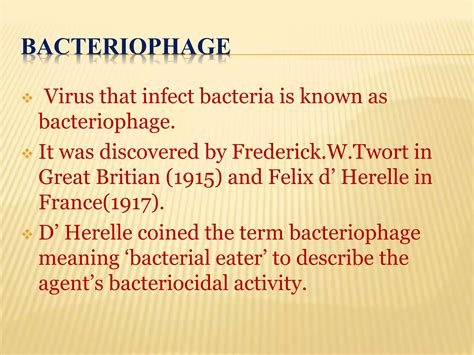 Bacteriophage Vectors Pptx