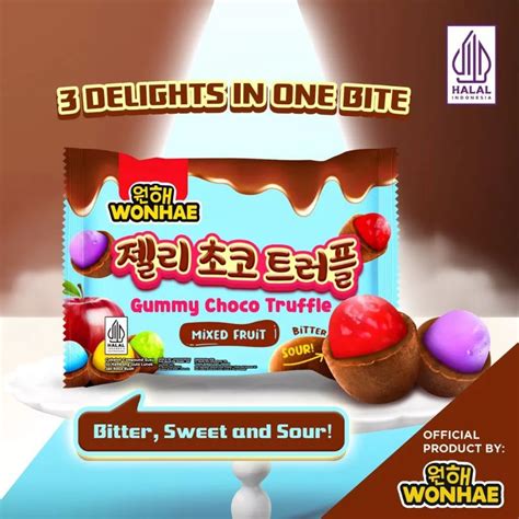Jual Wonhae Gummy Choco Truffle Mixed Fruit 35gr Shopee Indonesia