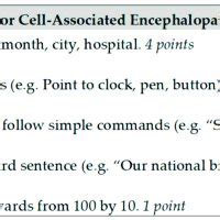 Pdf Bispecific Antibodies A Review Of Development Clinical Efficacy