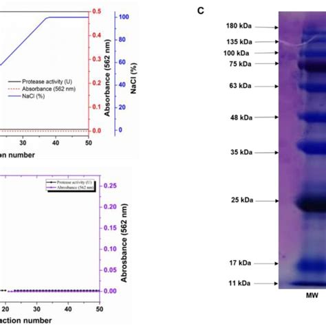 Purification Of Staphylococcus Simulans Qb7 Protease Using