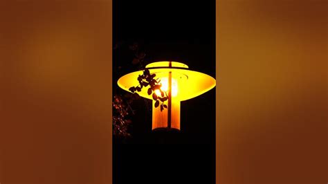 Touchgrass127 Touchgrass Grass Youtube