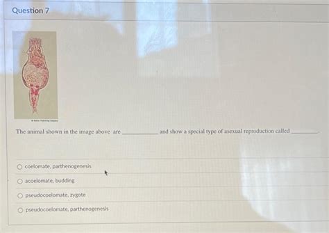 Solved Question 7 Marton Publishing Company The Animal Shown