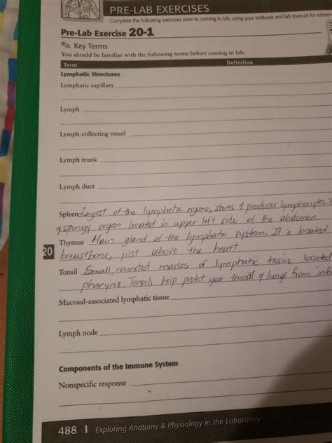 Solved Pre Lab Exercises Complete The Following Exercises