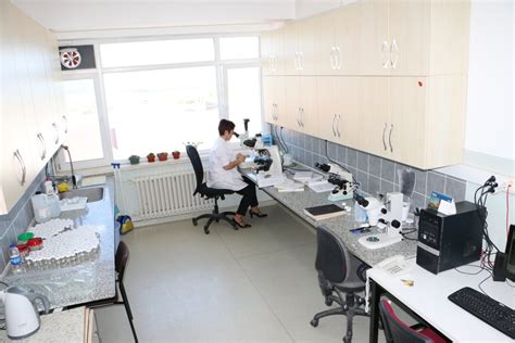Laboratuvarlar Biyoloji Bölümü
