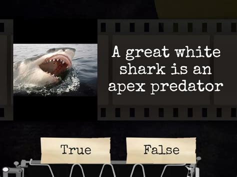 Food Chain Quiz True Or False