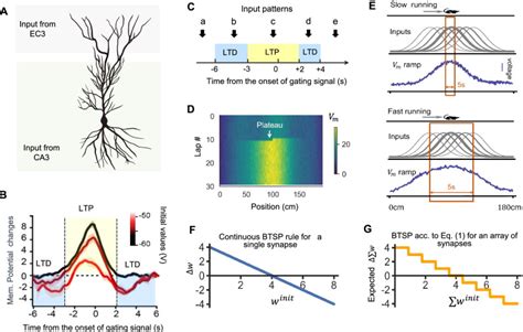 A Simple Model For Behavioral Time Scale Synaptic Plasticity Btsp