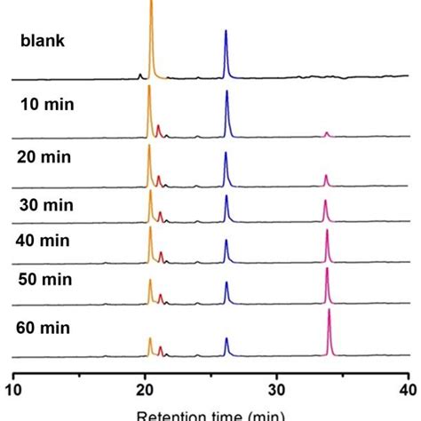 The Time Dependent Assay Using Sec Fraction Of Crude Enzyme The Download Scientific Diagram