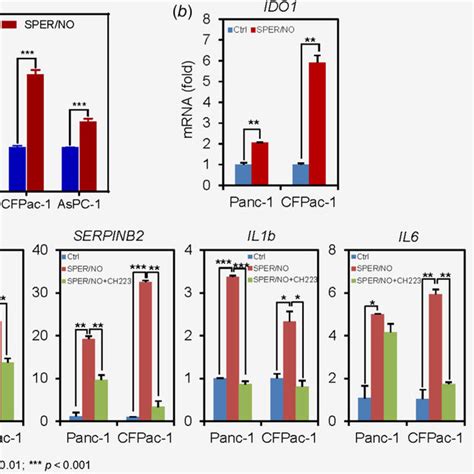 No • Regulates Kynurenine Production And Expression Of Ahr Target Download Scientific Diagram